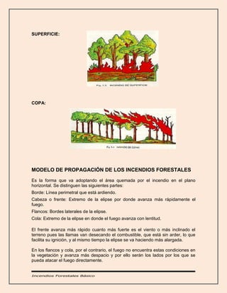 Incendios forestales | DOCX