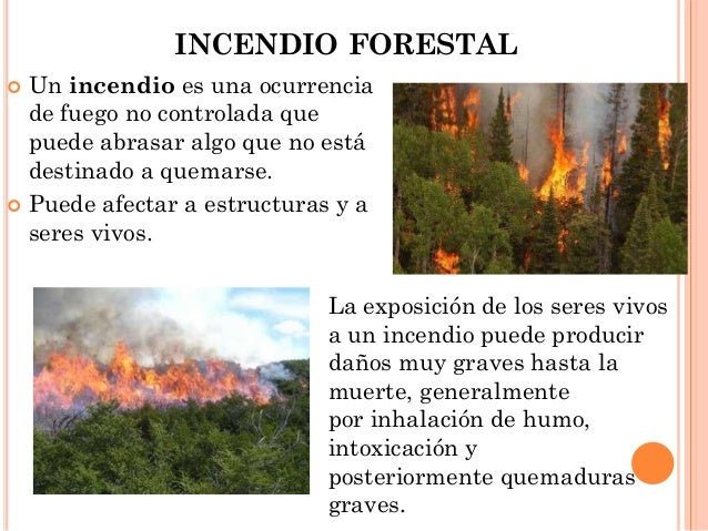 Incendios forestales