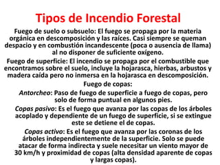 Incendios forestales | PPTX
