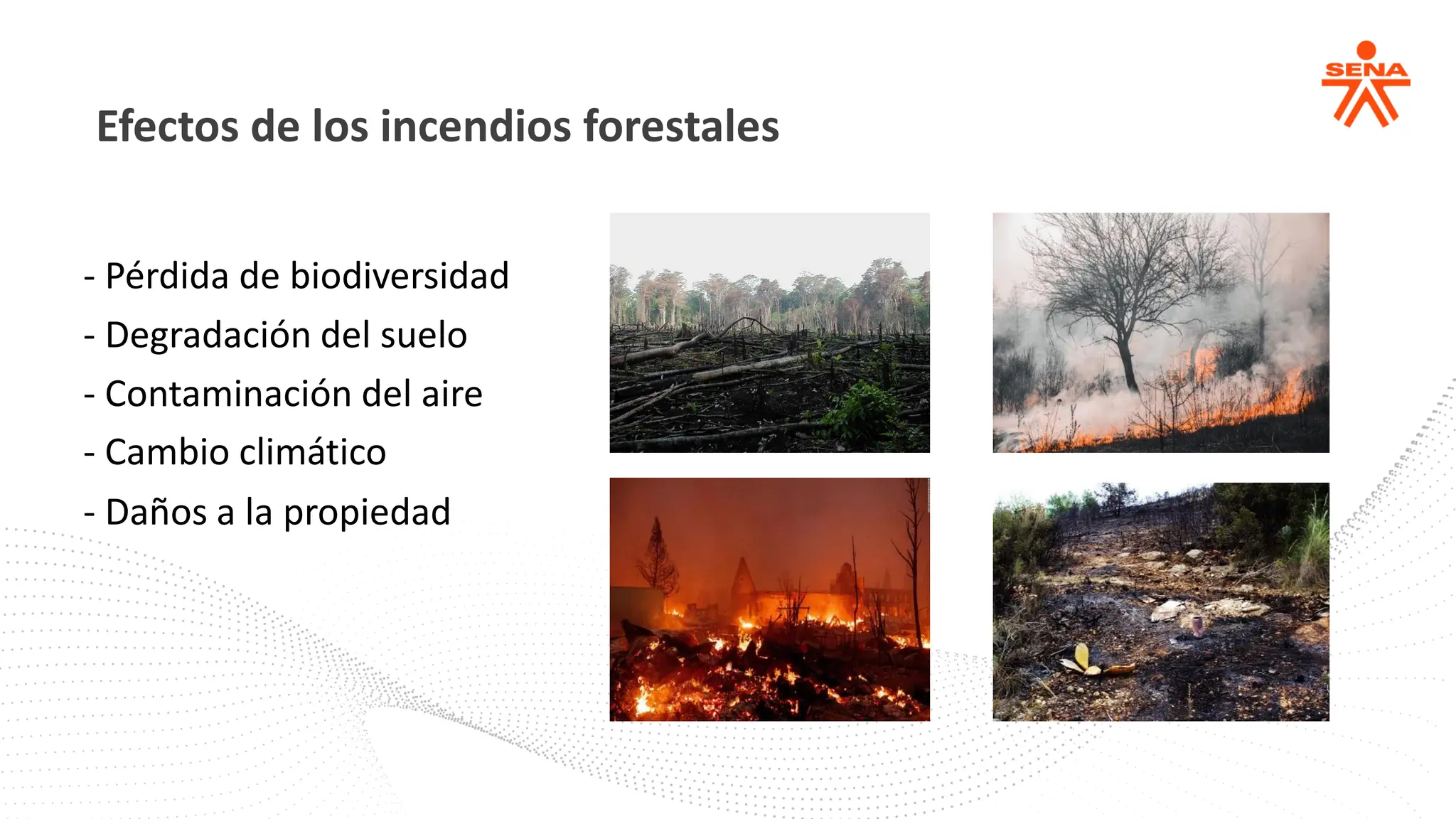 Incendios Forestales En El Mundo Pdf