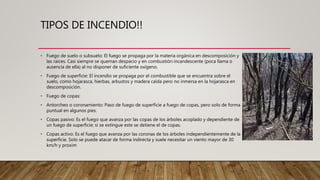 Incendios Forestales | PPTX