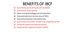 Incentive-based contract farming (IBCF) | PPT