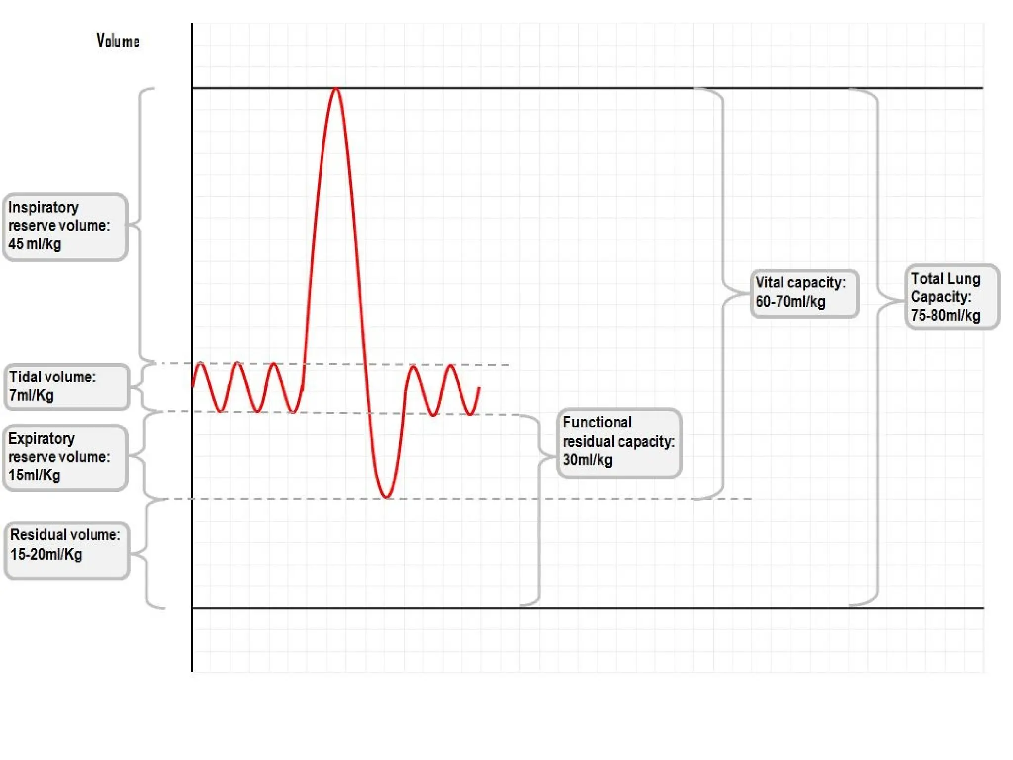 Incentive Spirometry.pptxIncentive Spirometry.pptx