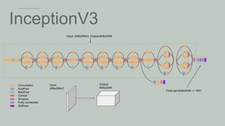 InceptionV3 model deep learning image processing | PPT