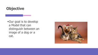 Inception V3 Image Processing .pptx | 3-D Graphics | Computer Software and Applications