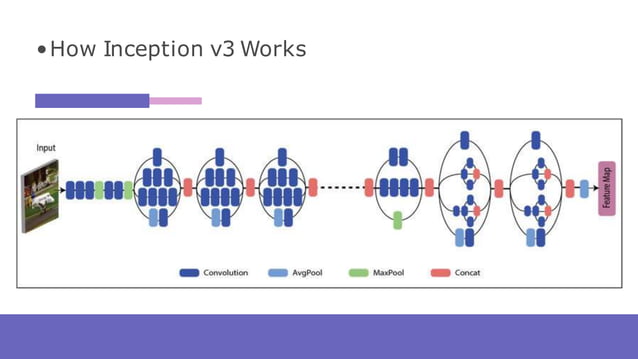 Inception V3 Image Processing .pptx | 3-D Graphics | Computer Software and Applications