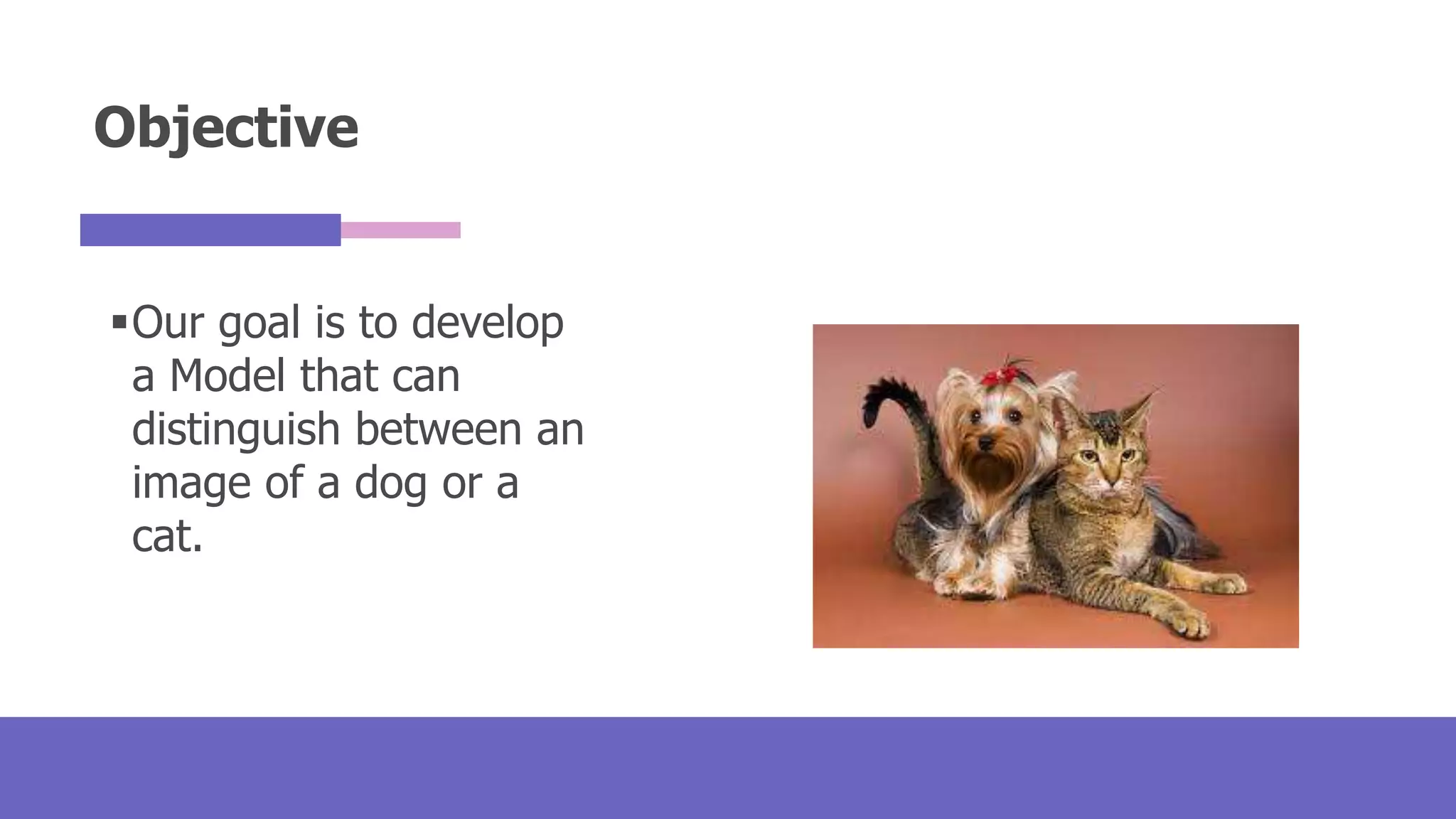 Inception V3 Image Processing (1).pptx