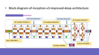 Inception V3 Image Processing (1).pptx