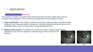 Inception V3 Image Processing (1).pptx