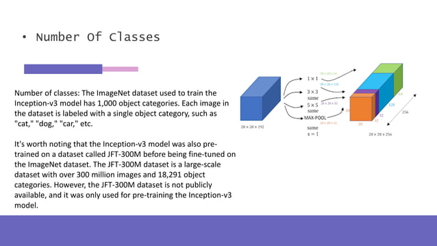Inception V3 Image Processing (1).pptx