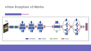 Inception V3 Image Processing (1).pptx