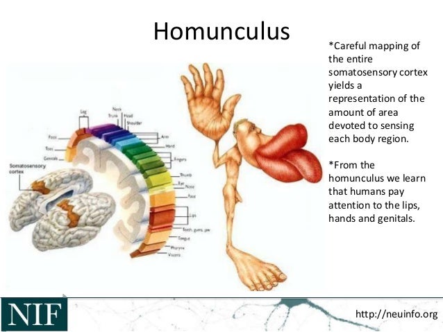 INCF 2013 - Uniform Resource Layer