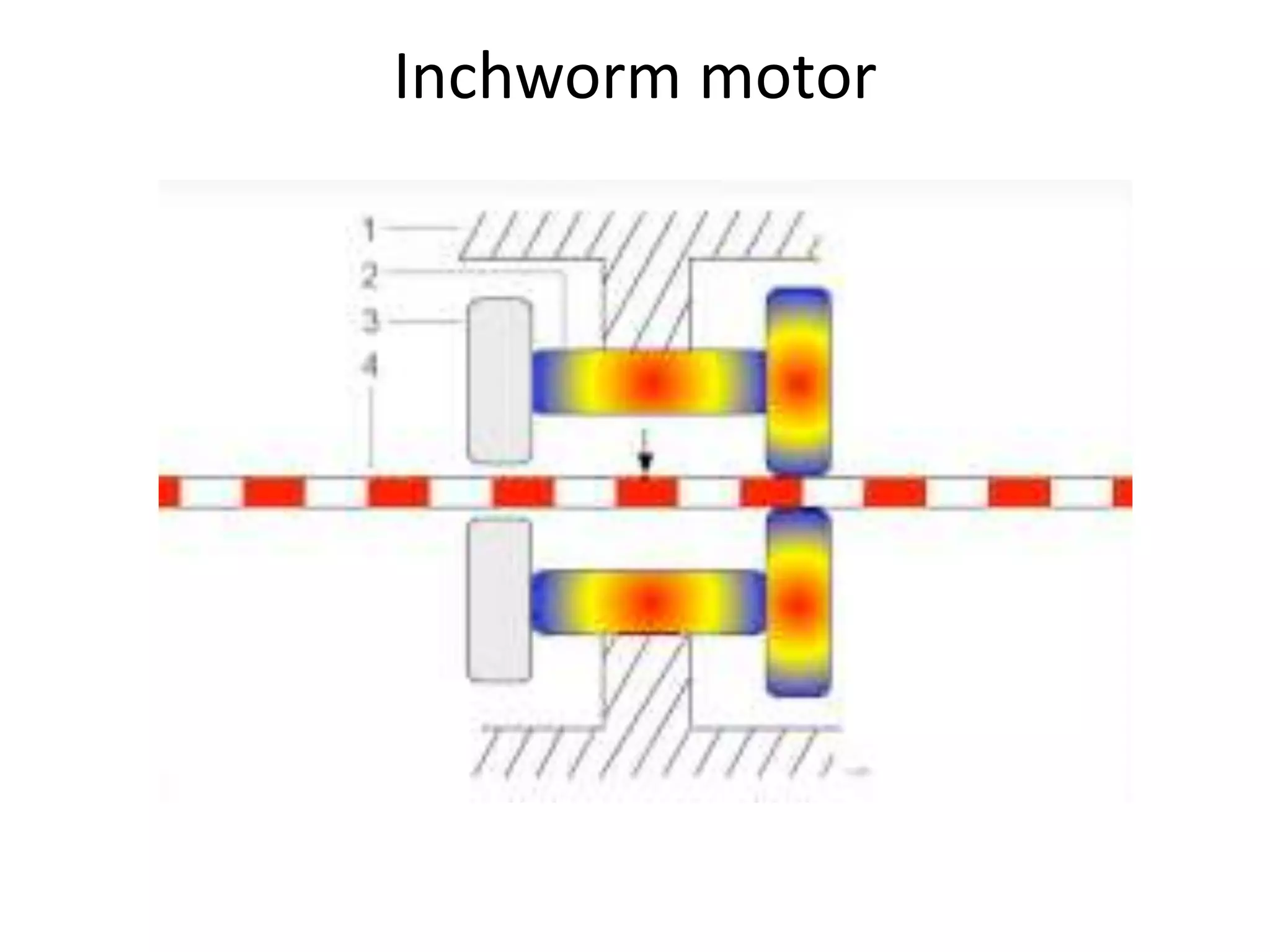 Inchworm motor.pptx