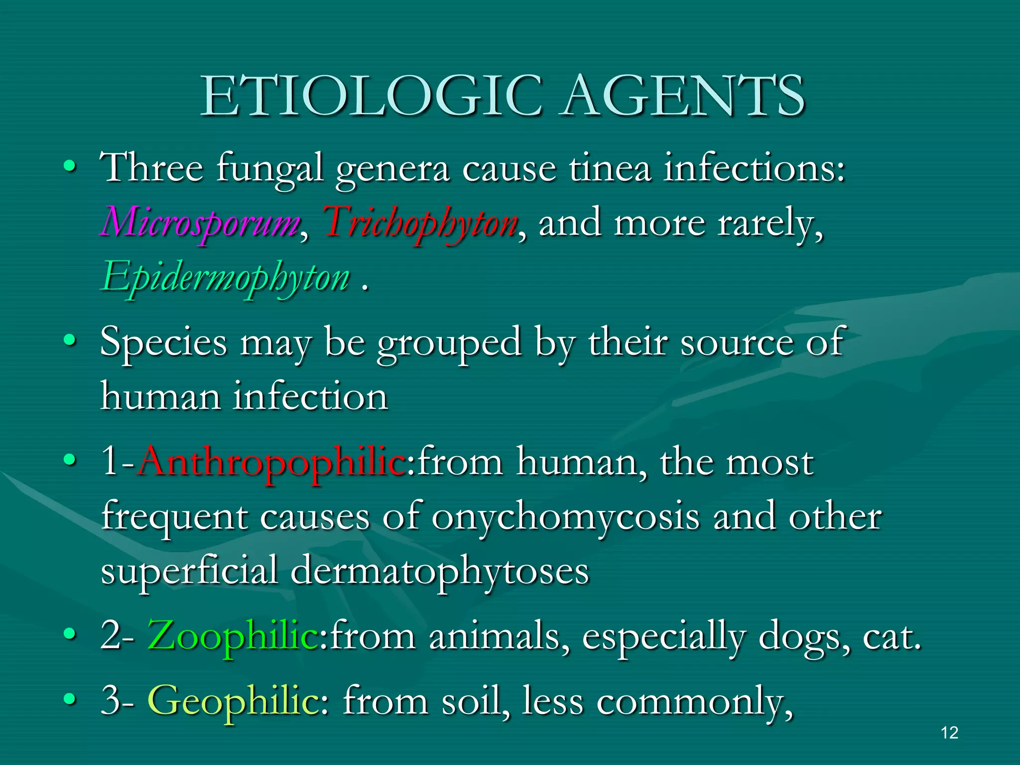 dermatophytes infections | PPTX