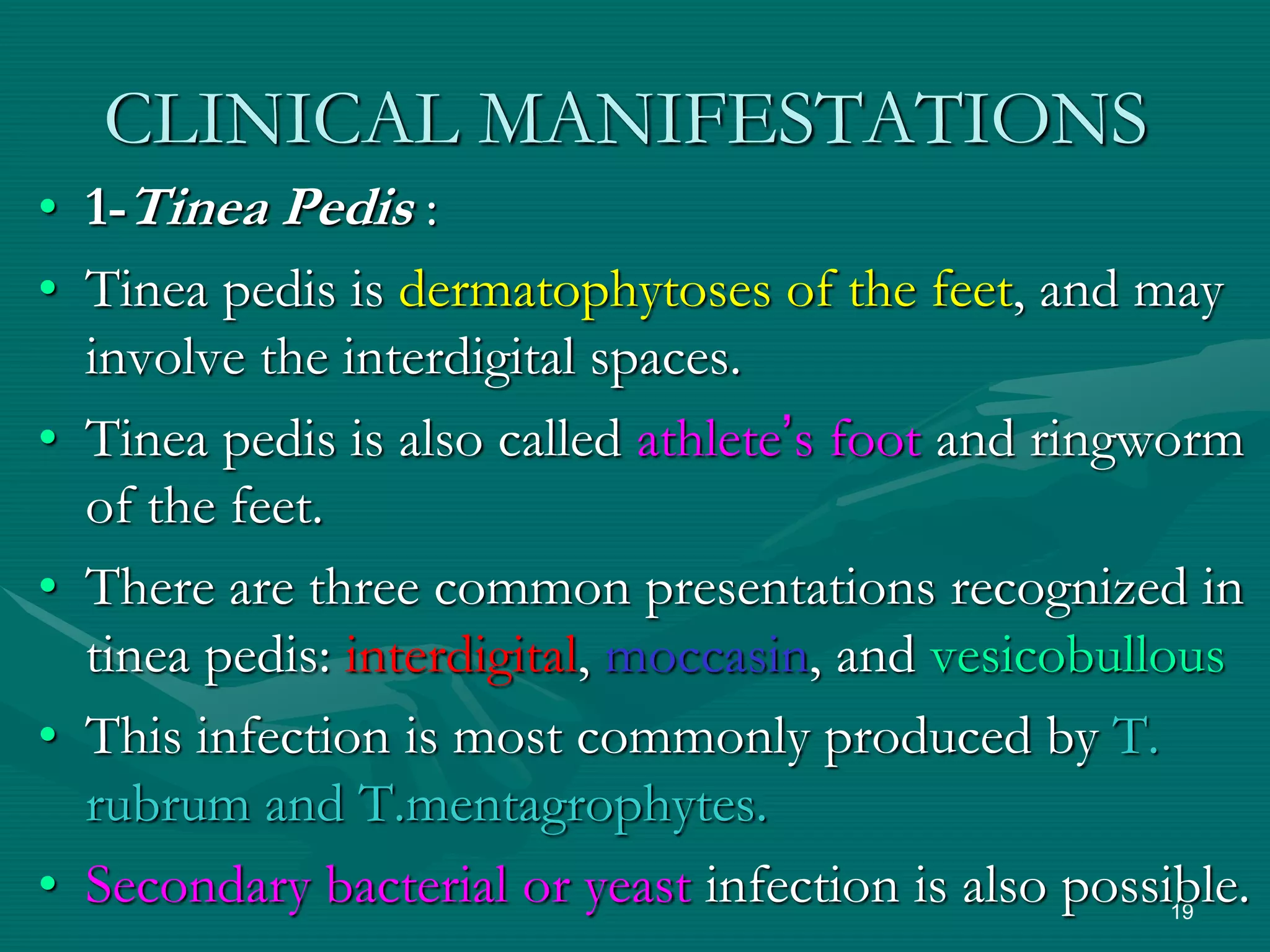 dermatophytes infections | PPTX