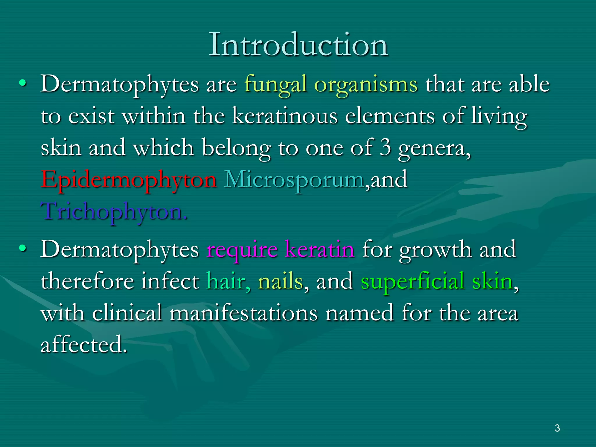 dermatophytes infections | PPTX