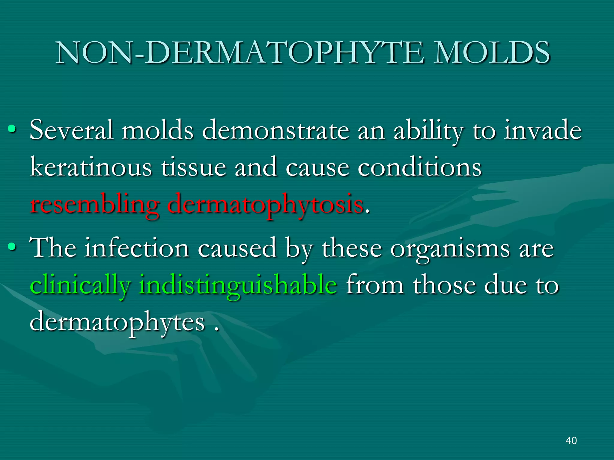 dermatophytes infections | PPTX