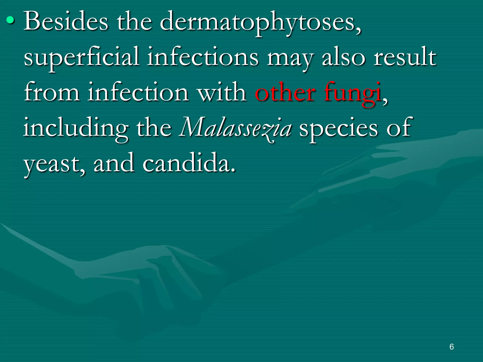 dermatophytes infections | PPTX