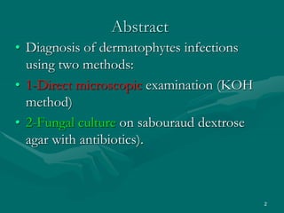 dermatophytes infections | PPT