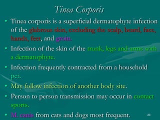 dermatophytes infections | PPT