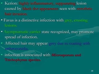 dermatophytes infections | PPT