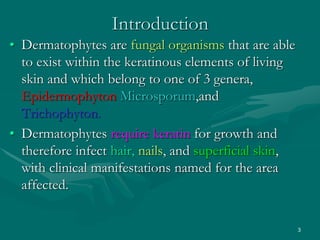 dermatophytes infections | PPT