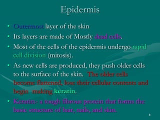 dermatophytes infections | PPT