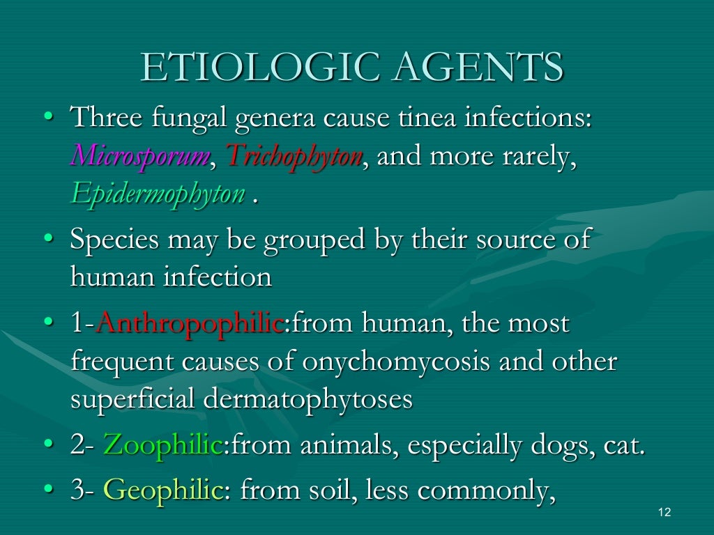 dermatophytes infections