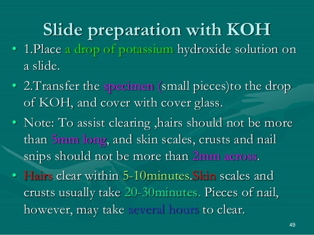dermatophytes infections