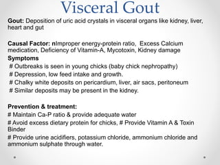 Incidence of Poultry Diseases in Winter season.pptx