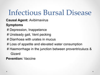 Incidence of Poultry Diseases in Winter season.pptx