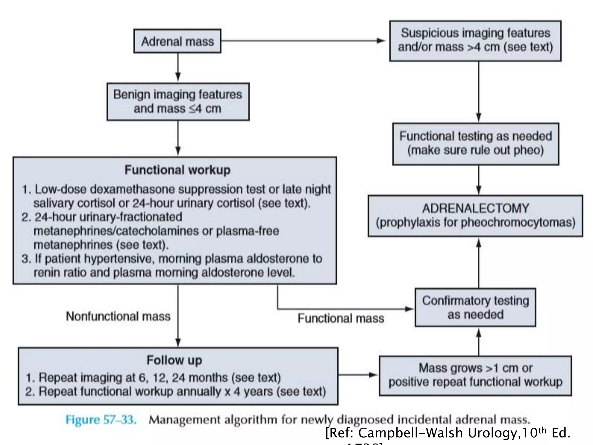 Incidentaloma | PPTX