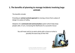 Incidents involving animals awareness level presentation | PDF