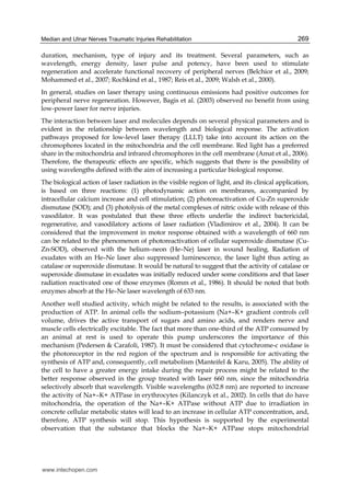 Incio2012 | PDF