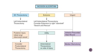 Incision and chest exposure in emergency | PPTX