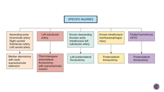 Incision and chest exposure in emergency | PPTX