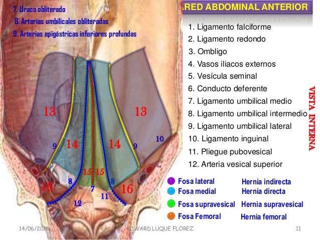 Incisionanes parte 2