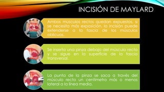 Incisiones Gíneco-Obstétricas en Cesárea | PDF