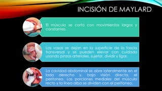 Incisiones Gíneco-Obstétricas en Cesárea | PDF