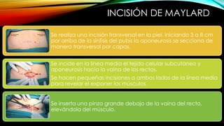 Incisiones Gíneco-Obstétricas en Cesárea | PDF