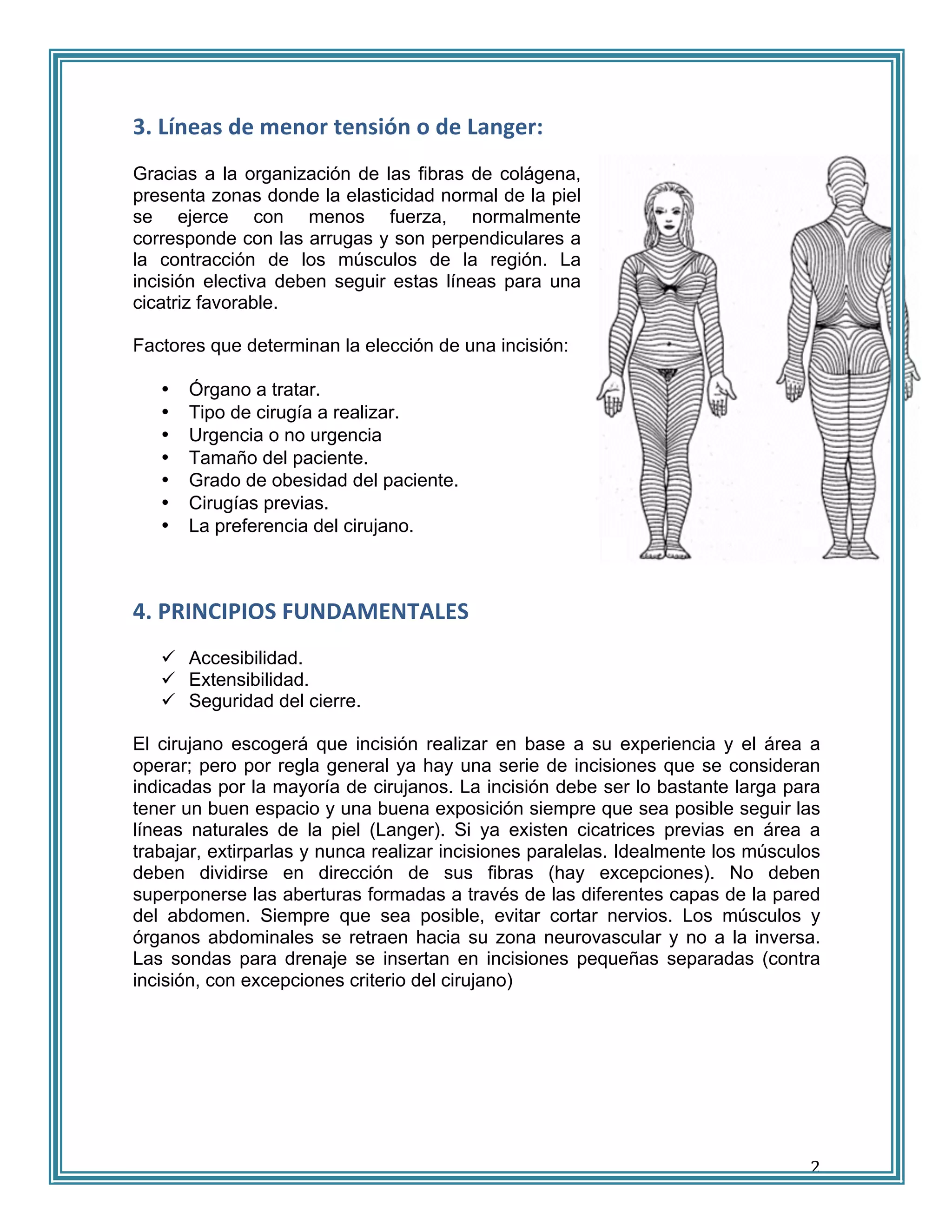 Incisiones quirurgicas | PDF