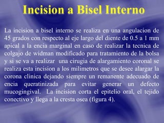Incisiones y Colgajos | PPT