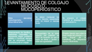 Incisiones y Levantamiento de Colgajo.pptx