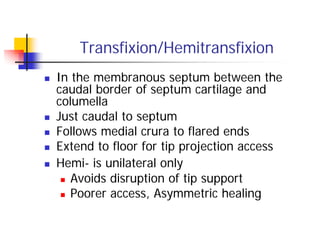 Incision of rhinoplasty | PPT