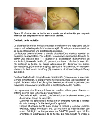 INCISIONES QUIRURGICAS EN CARA Y CUELLO | DOCX