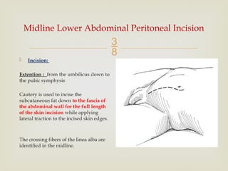 abdominal, loin and groin Incisions .pptx