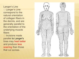 surgical Incisions - sadeghi mazloumi | PPTX