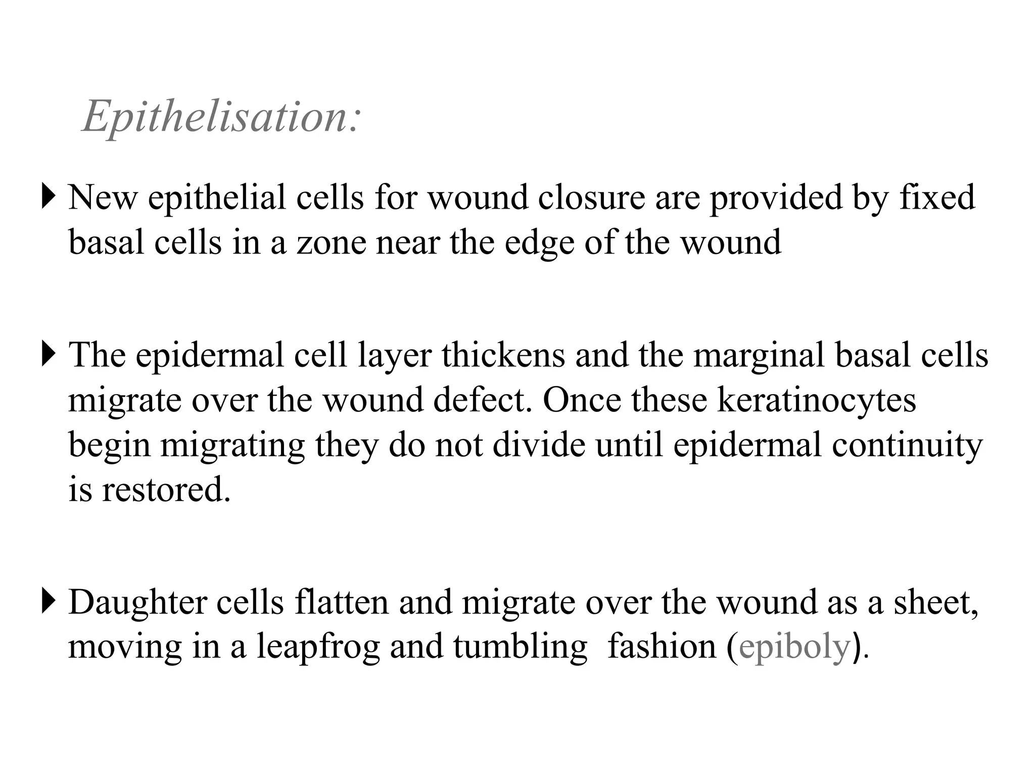 Incisions and wound healing 02 | PPTX