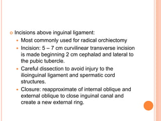 Incisions in Urology.pptx