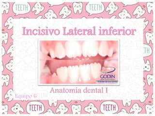 Incisivo central inferior e incisivo lateral inferior | PPTX